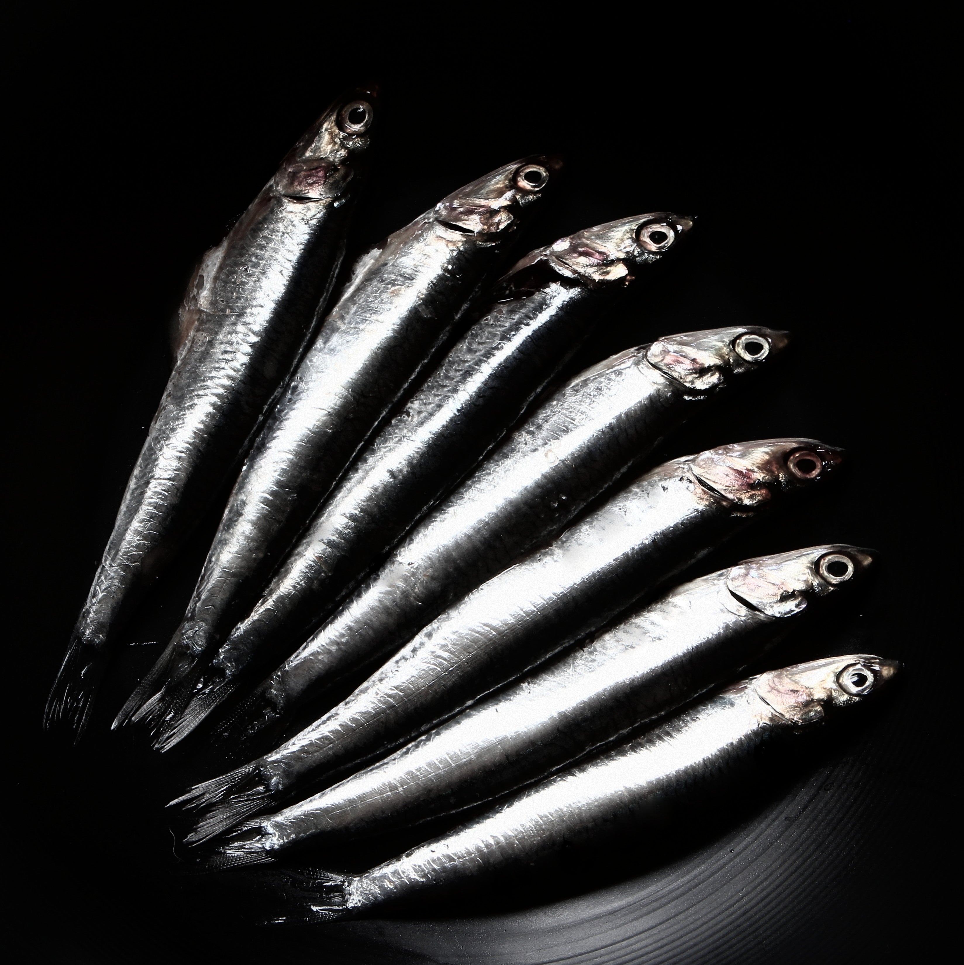 El Capricho Salmuria Anchovy Essence – Vera Foods